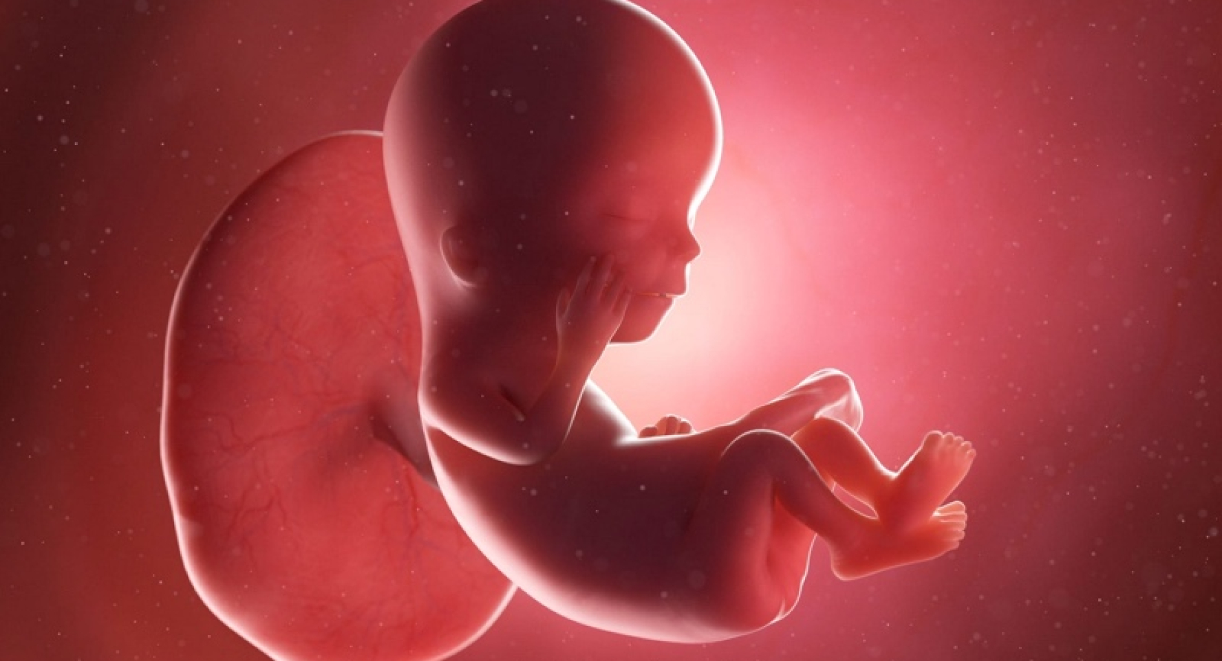 To Tear Bodies Apart on the Altar of Science | FLI